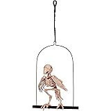 Amazon.com: Crazy Bonez Skeleton Parrot : Toys & Games