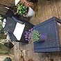 Allibert by Keter Atlanta 2 Seater Rattan Balcony Bistro Set Outdoor ...