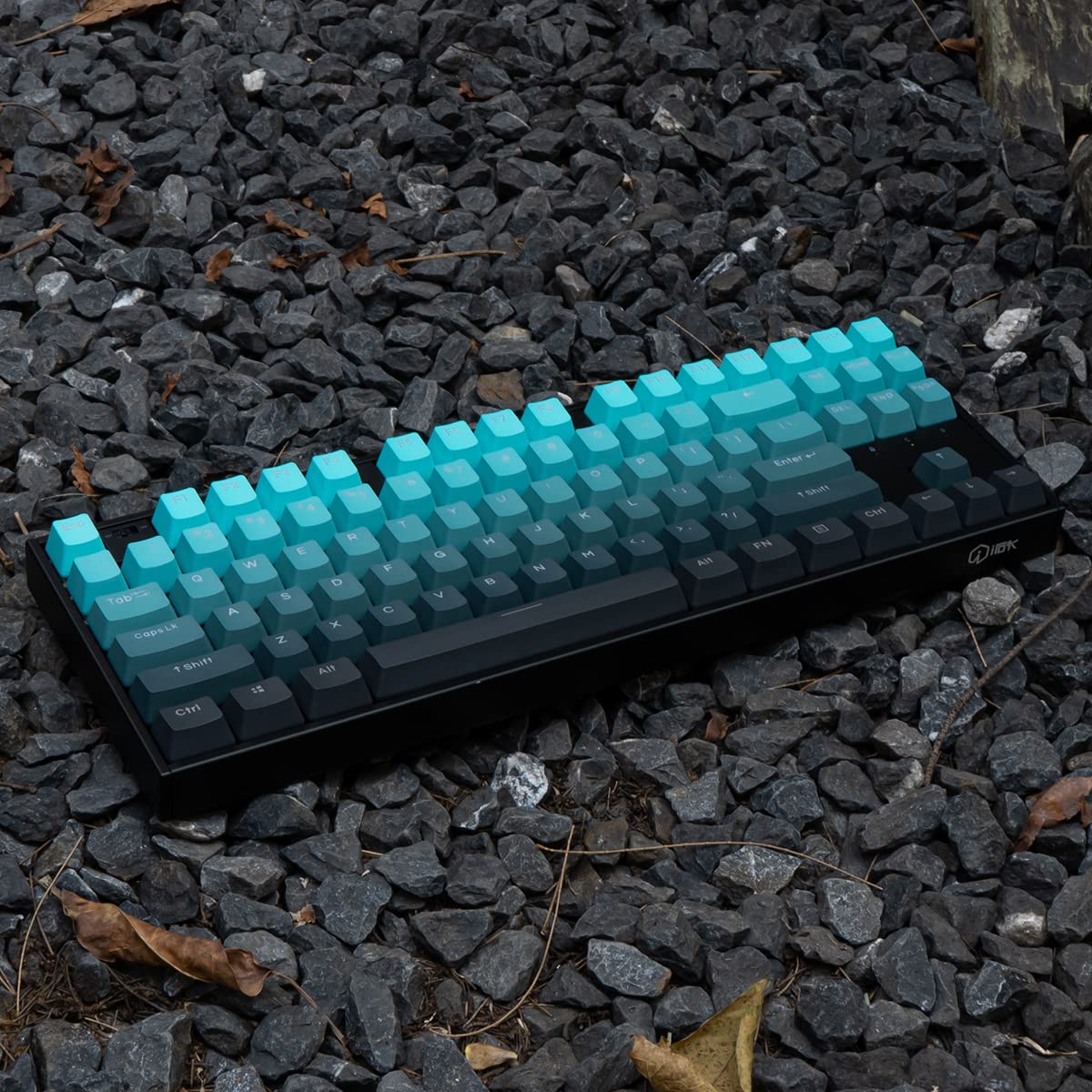Mua mintcaps PBT Doubleshot Keycaps Gradient Cyan Backlit OEM Profile ...