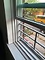 Amazon.com: Prime-Line S 4768 Fixed Window Guard – Prevent Accidental ...