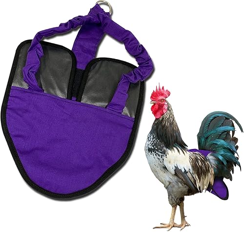 Hen Holster, Wrap-Around Chicken Diapers, Comfy Chicken Diapers for ...