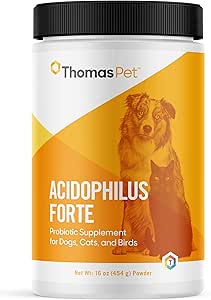 Amazon.com : Thomas Labs Acidophilus Forte Digestive Powder, 16-Ounce ...