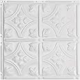 Amazon.com: Great Lakes Tin Hamilton Matte White Ceiling Tiles ...