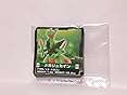 Amazon.com: Takaratomy Pokemon XY Monster Collection Mega Evolution ...