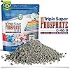 Triple Super Phosphate 0-46-0 Fertilizer - Made in USA - Bloom Booster ...