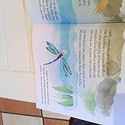 The Dragonfly Story: Explaining the death of a loved one to children ...
