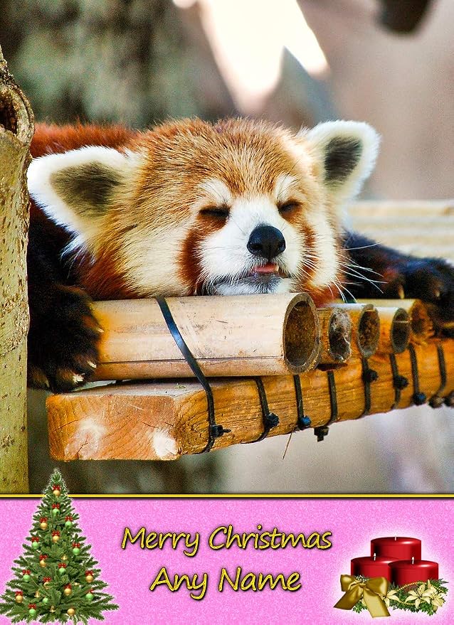 Personalised Red Panda Christmas Card (Merry Christmas, Any Name ...