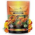Amazon.com : NatureZ Edge Marigold Seeds Mix, Over 5600 Seeds, Marigold Seeds for Planting ...