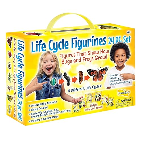 Insect Lore's Life Cycle Figurines 24 Pc Set | Butterfly, Ladybug, Frog ...