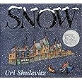 Amazon.com: Snow: (Caldecott Honor Book) (Sunburst Books ...