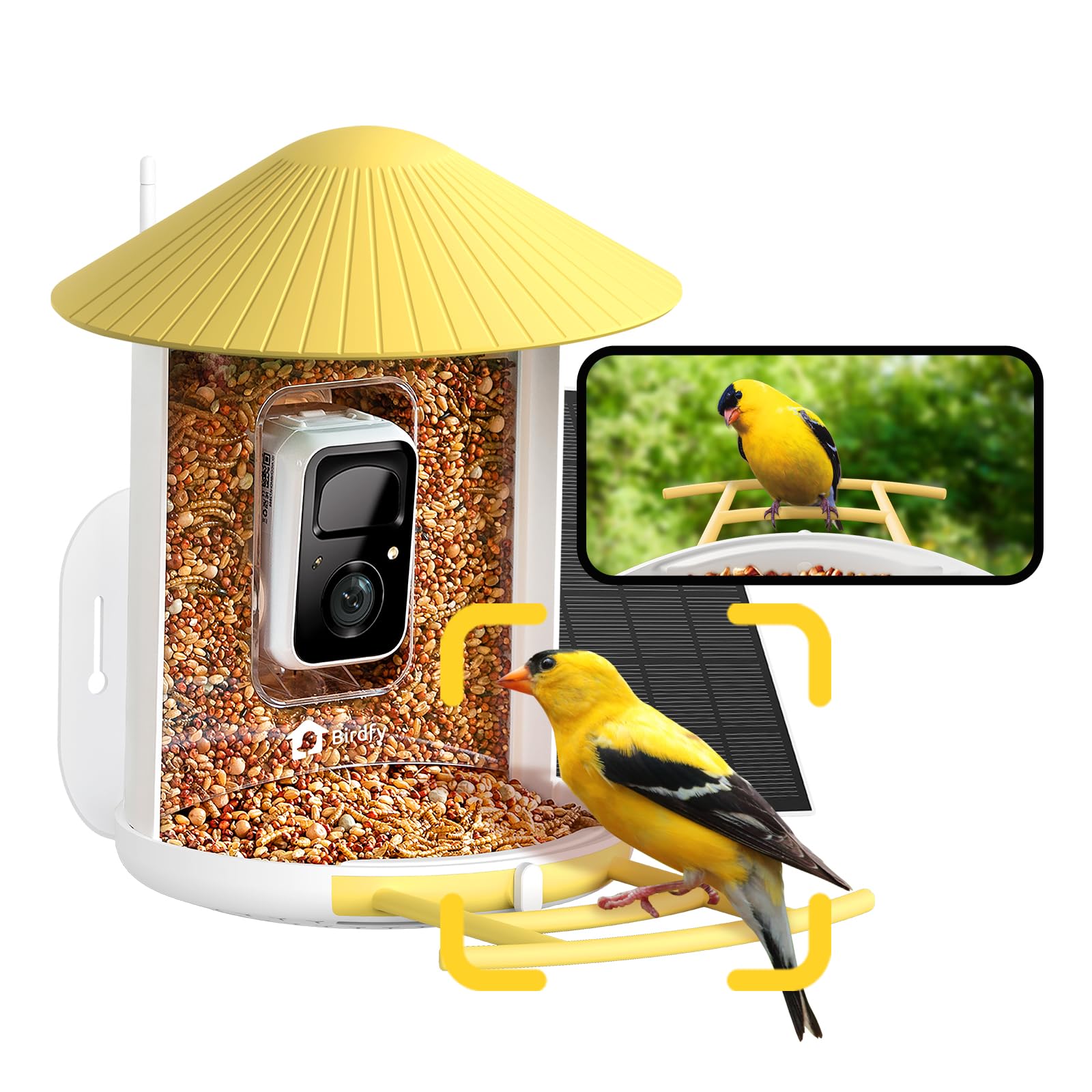 NETVUE by Birdfy AI Smart Bird Feeder with Camera Solar Powered, AI Auto Capture Each Bird Come ...