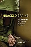 Hijacking the Brain: How Drug and Alcohol Addiction Hijacks our Brains ...