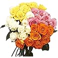 Amazon.com: 50 Assorted Roses- Two Different Colors- Fresh Flowers Next ...
