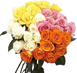 Amazon.com: 50 Assorted Roses- Two Different Colors- Fresh Flowers Next ...