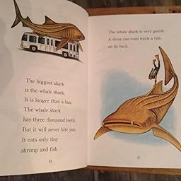 Amazon.com: Bony-Legs (9780590405164): Joanna Cole, Dirk Zimmer: Books