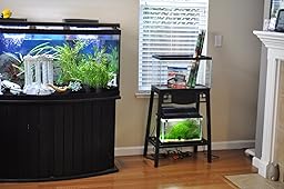Amazon.com : Aqueon Forge Aquarium Stand, 24 by 8-Inch : Pet Supplies