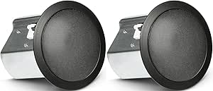 Amazon.com: JBL Professional Control 18C/T-BK Two-Way 8-Inch Coaxial ...