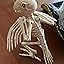 Amazon.com: Crazy Bonez Skeleton Parrot: Toys & Games