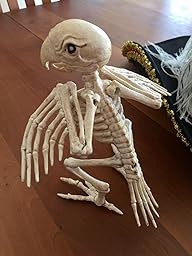 Amazon.com: Crazy Bonez Skeleton Parrot: Toys & Games