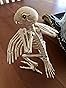 Amazon.com: Crazy Bonez Skeleton Parrot : Home & Kitchen