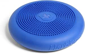 Amazon.com : Harbinger Balance Trainer for Core Stength : Balance ...