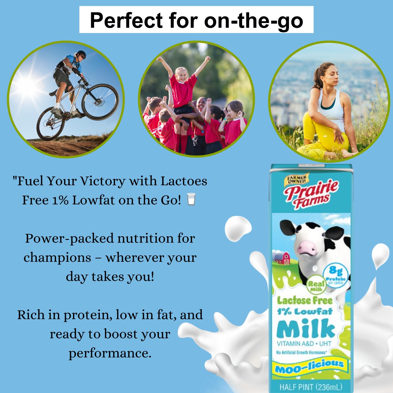 Mua Prairie Farms Lactose Free Milk, Shelf Stable 1% Low Fat Milk Boxes ...