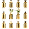 Amazon.com: NUPTIO Bud Vases Small Gold: 12 Pcs Glass Vase Set in Bulk for Flowers - Mini ...