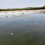 Amazon.com : Aquabot Pool Rover Hybrid Robotic Pool Cleaner : Swimming ...