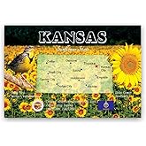 Amazon.com : NEW JERSEY MAP postcard set of 20 identical postcards. NJ ...