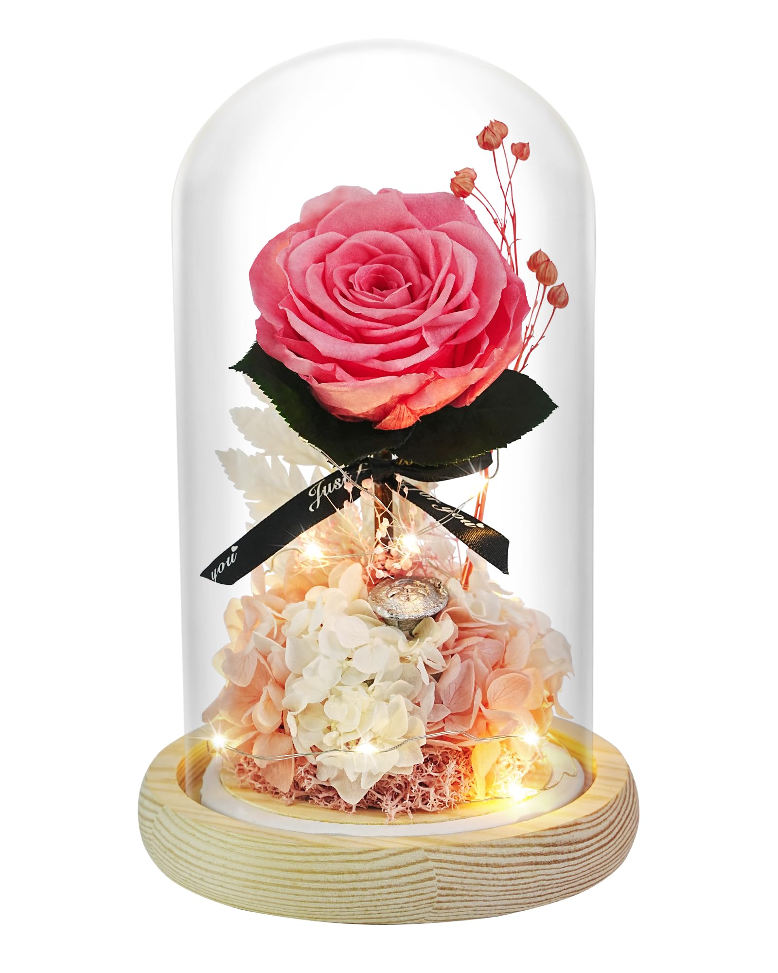 HVY Preserved Rose Present for Her Real Flowers for Delivery Prime Long ...