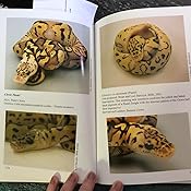 Complete Ball Python, A Comprehensive Guide to Care, Breeding, and ...