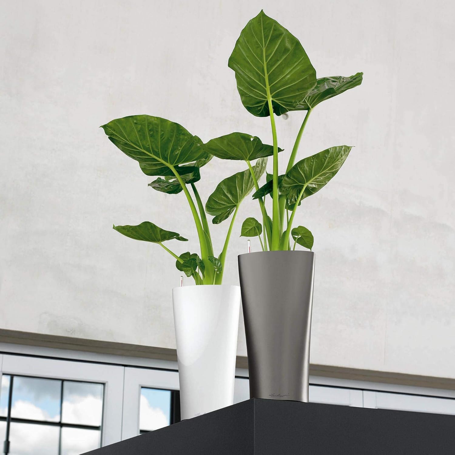 LECHUZA DELTA 40 Self Watering Planter Large Garden Flower Plant Pot ...