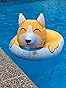 Amazon.com: BigMouth Inc. Corgi Pool Float, Thick Vinyl Raft, Holds 200 ...