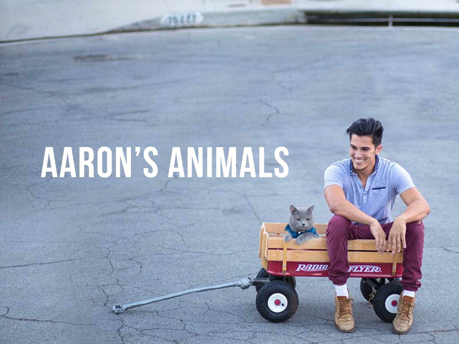 Watch Aaron's Animals | Prime Video