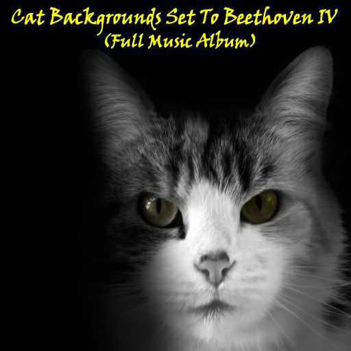Classical Music - Cats and Beethoven:Amazon.com:Appstore for Android