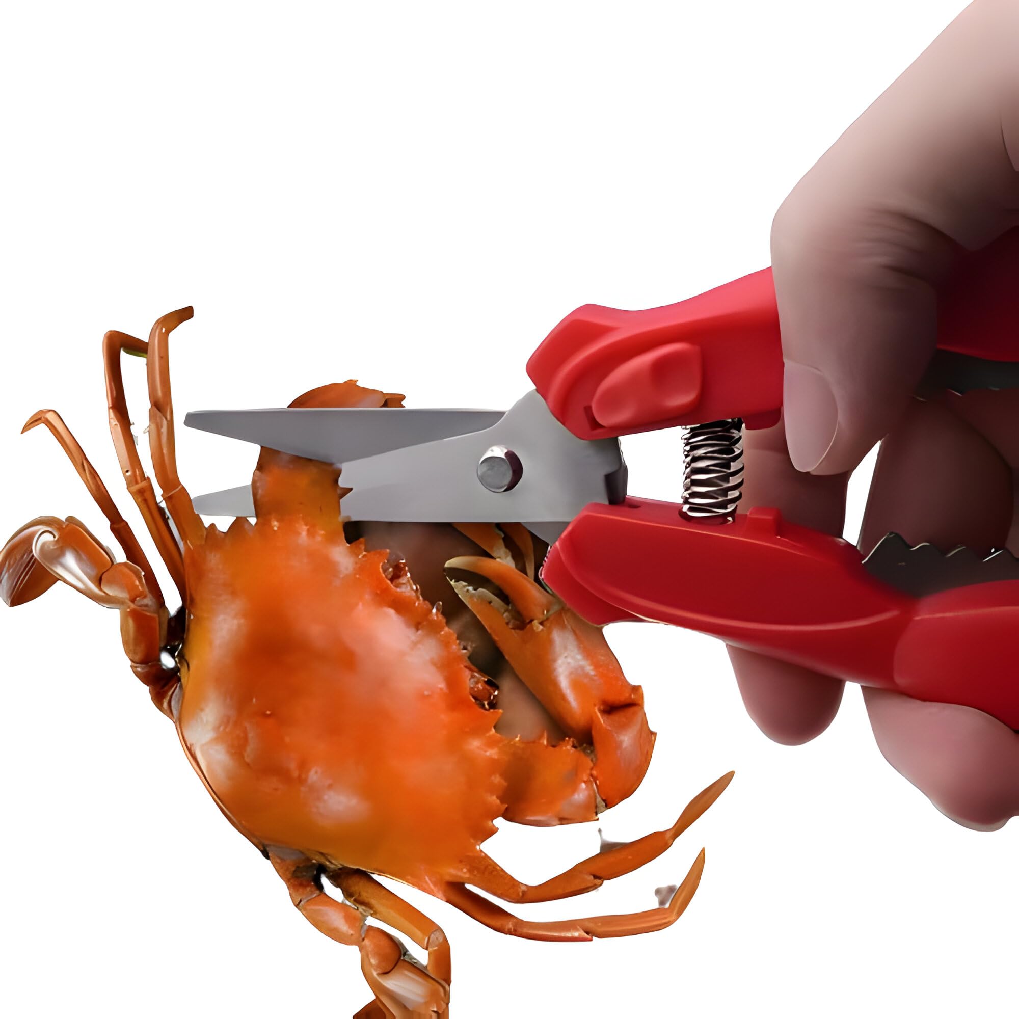 Crab Cracker Seafood Crab Lobster Shelling Tool ABS Handle Shrimp ...