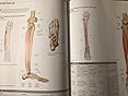 Atlas of Anatomy: 9781626232525: Medicine & Health Science Books ...