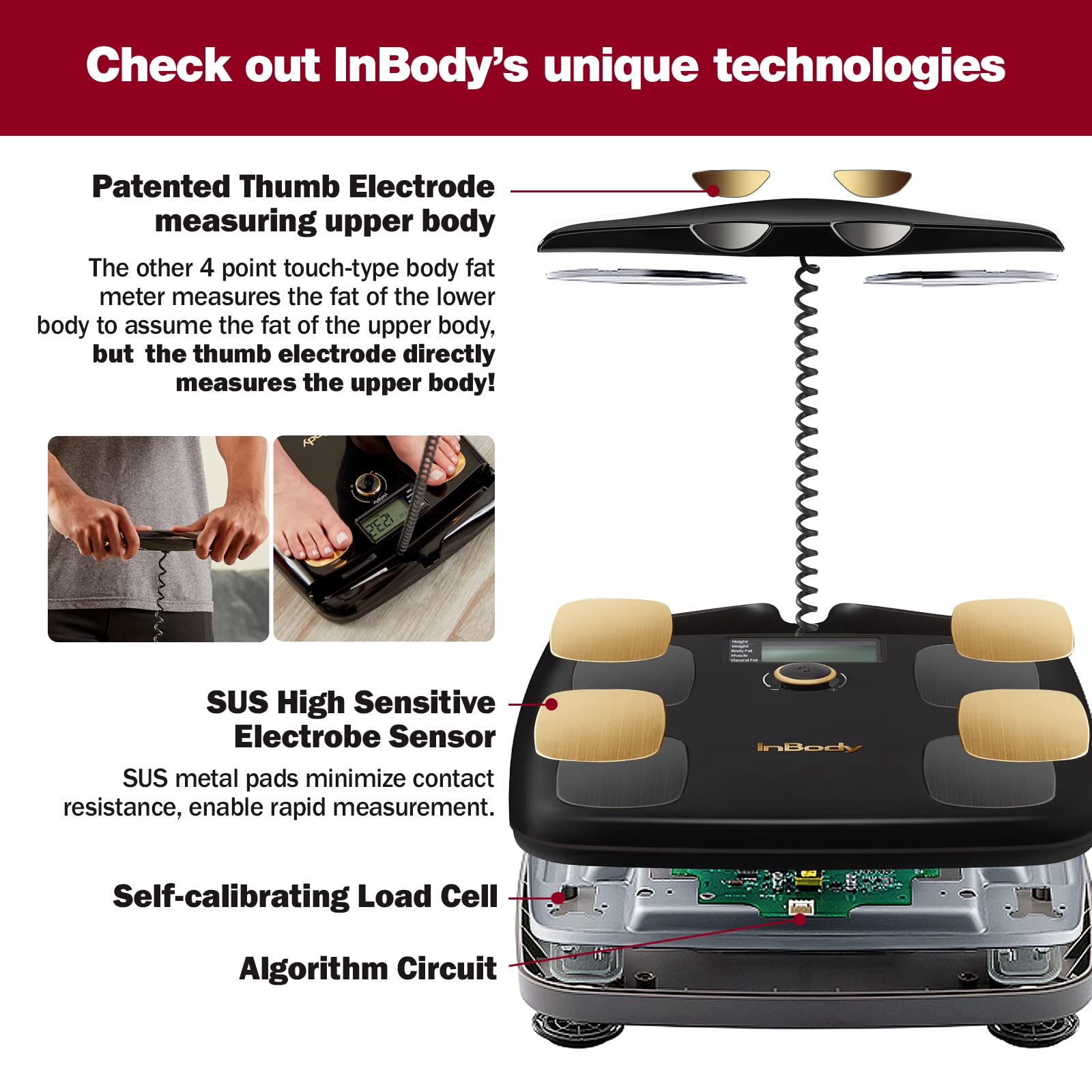 Mua InBody H20N-Black Smart Full Body Composition Analyzer Scale - Full ...