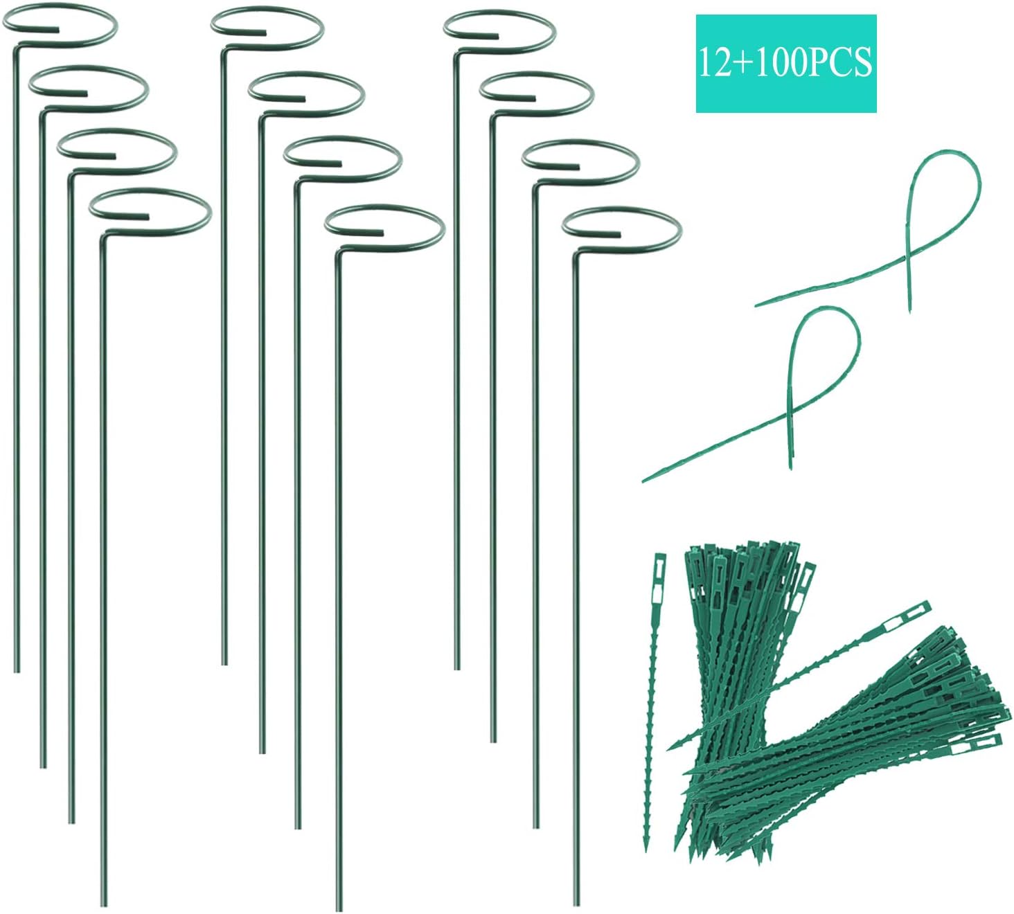 Amazon.com : RAIKEDR 12 Pack Plant Stake Support, Garden Single Stem ...