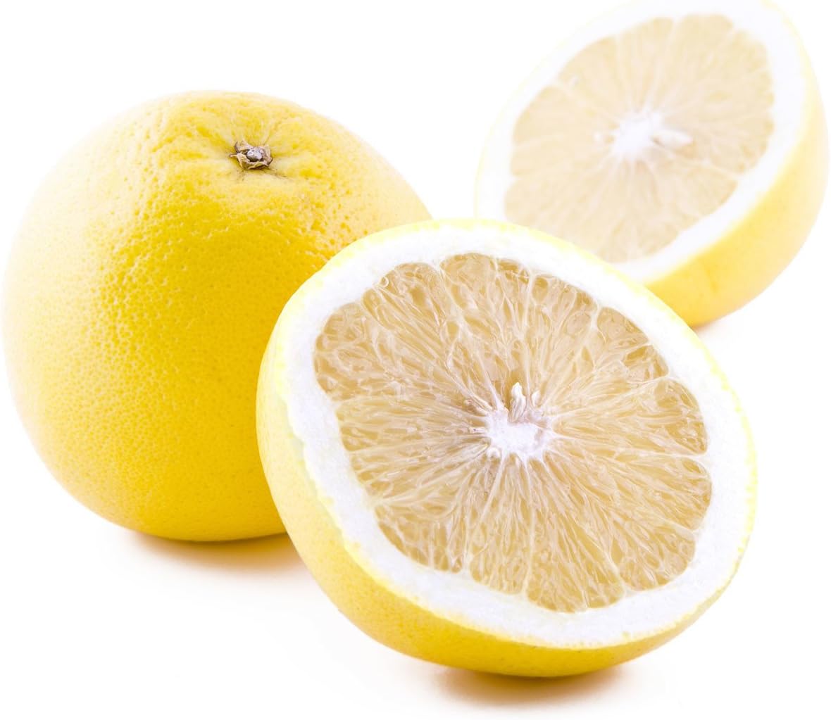 Amazon.com : White Marsh Grapefruit Tree, Seedless Citrus (Excludes: CA ...