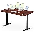 Amazon.com: FLEXISPOT E6 Pro Oval Leg Dual Motor 3 Stages Standing Desk 48x30 Inch Whole-Piece ...