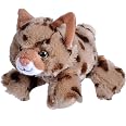 Amazon.com: Wild Republic Black Cat Plush, Stuffed Animal, Plush Toy ...