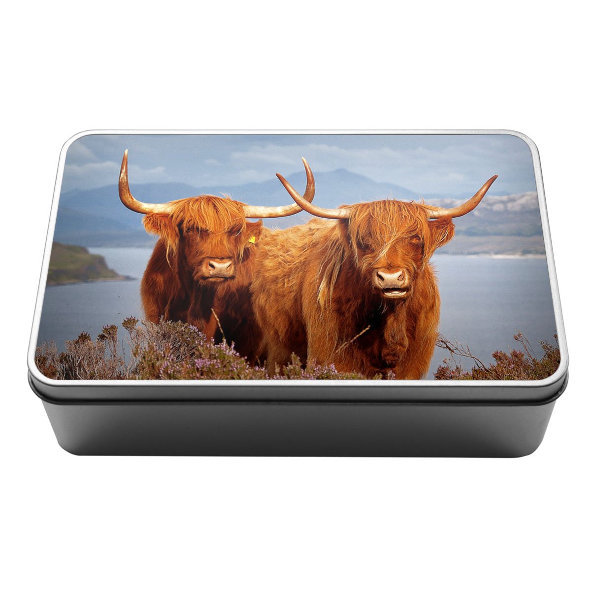 Highland Cow Animal Metal Storage Tin Box 152: Amazon.co.uk: Kitchen & Home