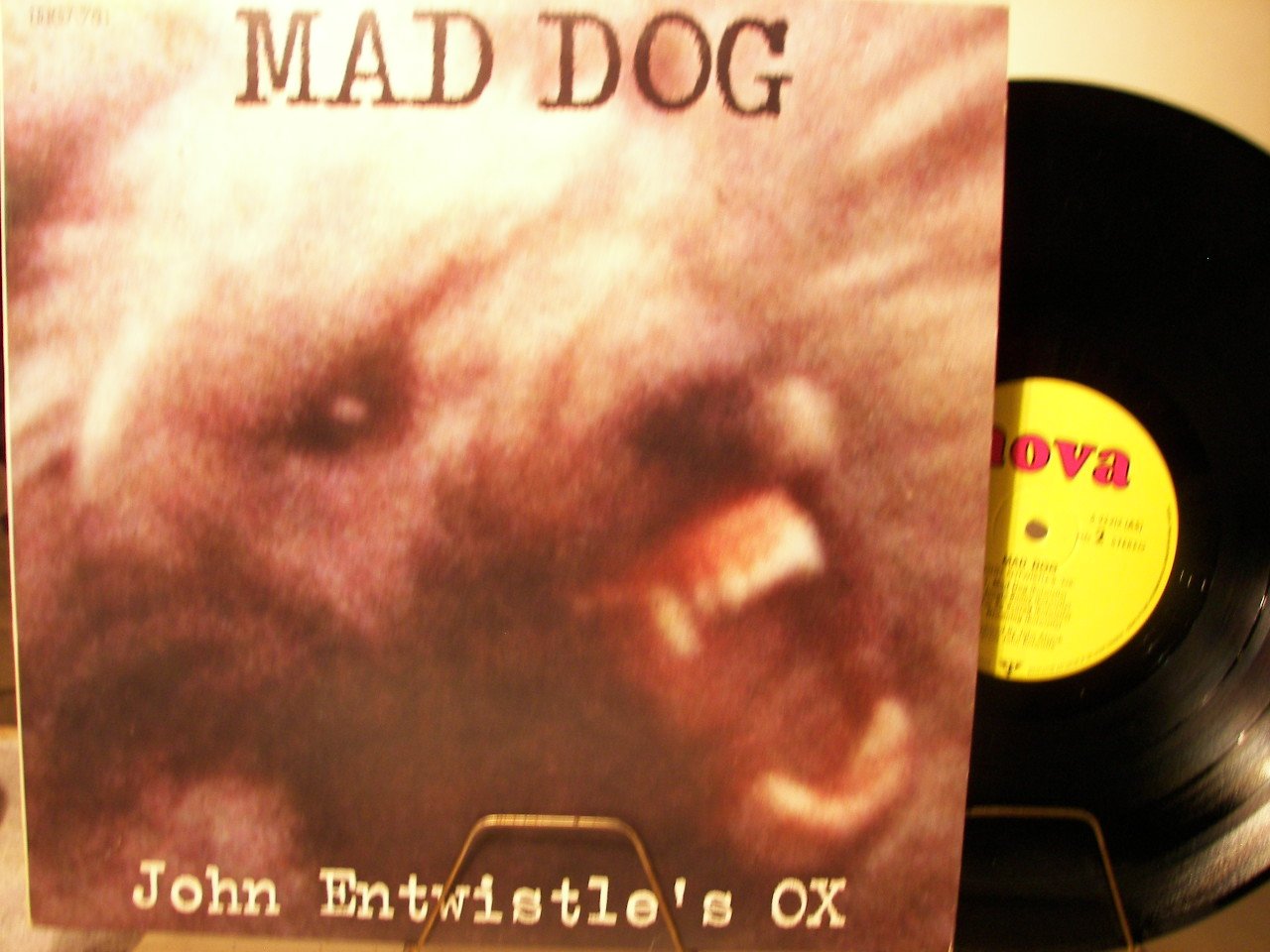 - Mad Dog - Amazon.com Music