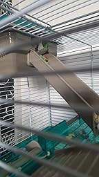 Rosewood PICO Hamster Home, Extra Large, Translucent Teal: Amazon.co.uk ...