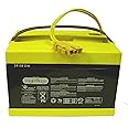 Amazon.com: Peg Perego 24 Volt Replacement Battery for Peg Perego ...