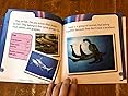 Amazon.com: Let’s Classify Animals—Children’s Science Book About How To ...