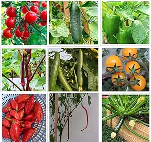 Rainy season vegetable seeds combo (350 seeds) : Amazon.in: Garden & Outdoors