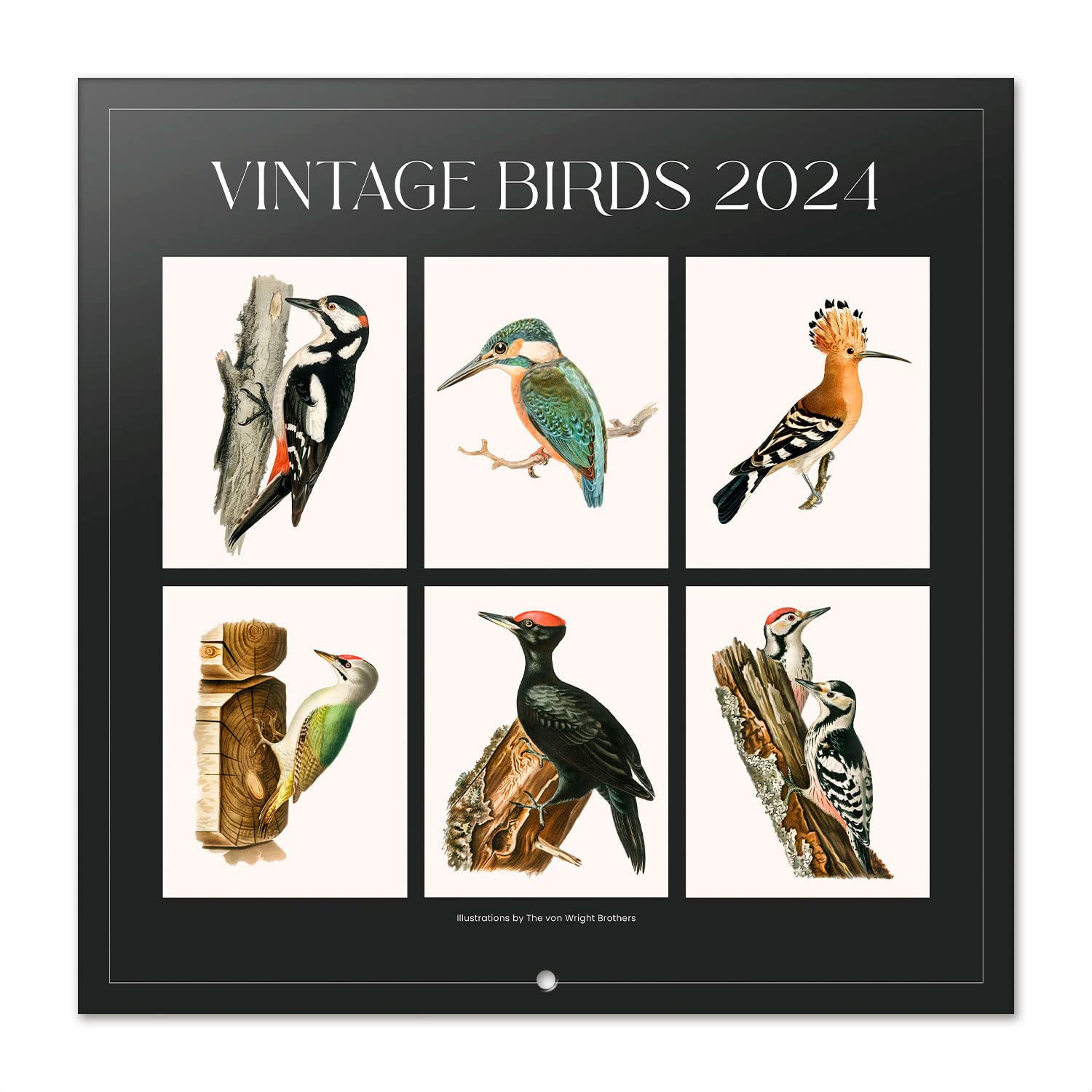 Mua Vintage Birds Wall Calendar 2024 12" x 12" FSC® Plastic Free - Week ...