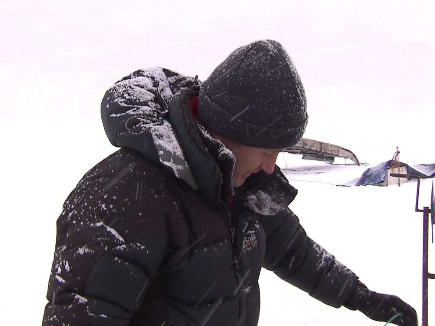 Watch Arctic with Bruce Parry - Season 1 | Prime Video